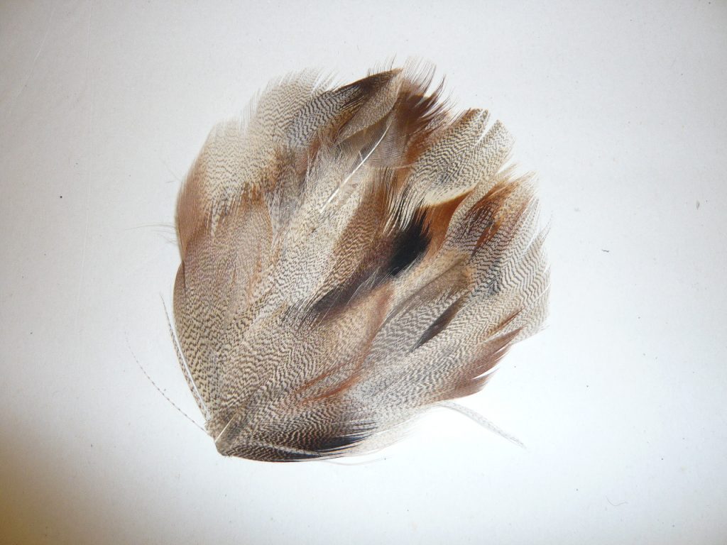 BF17 Feather Pad - Randall Ribbons